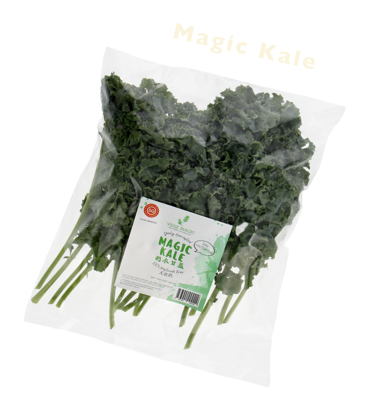 Vege Magic | Eat Fresh, Live Healthy!